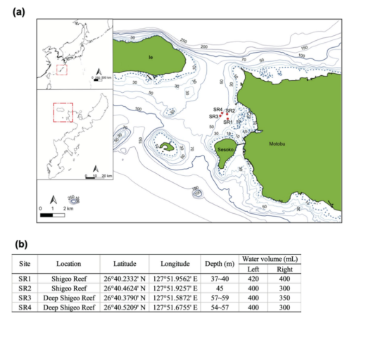Robots give scientists unprecedented access to study coral reef biodiversity | Okinawa Institute ...
